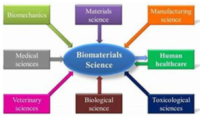 Harnessing Artificial Intelligence for Advancements in Biomedical Research